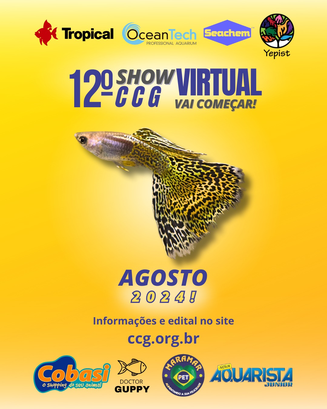 12.º CCG Online Brazil Fancy Guppy Show 2024 - CCG